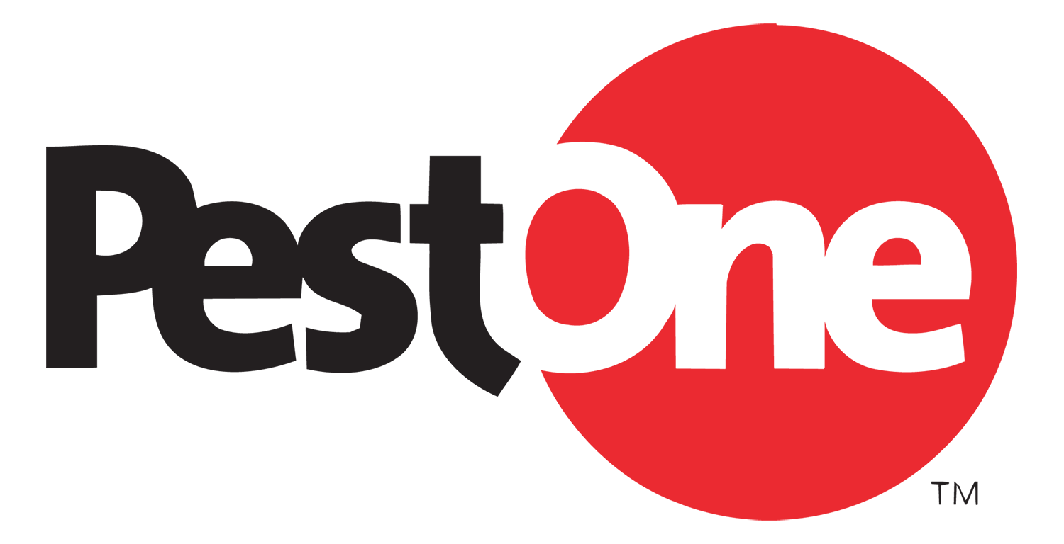 About Charlotte NC Pest Control Company Noosa Pest Management