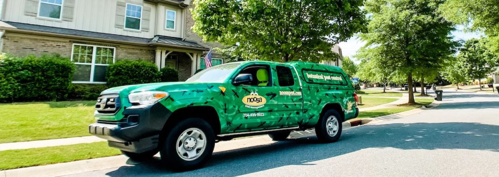 How Noosa’s Pest Control Services Work